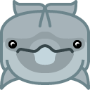 Dolphin Chat | Cetalingua Project