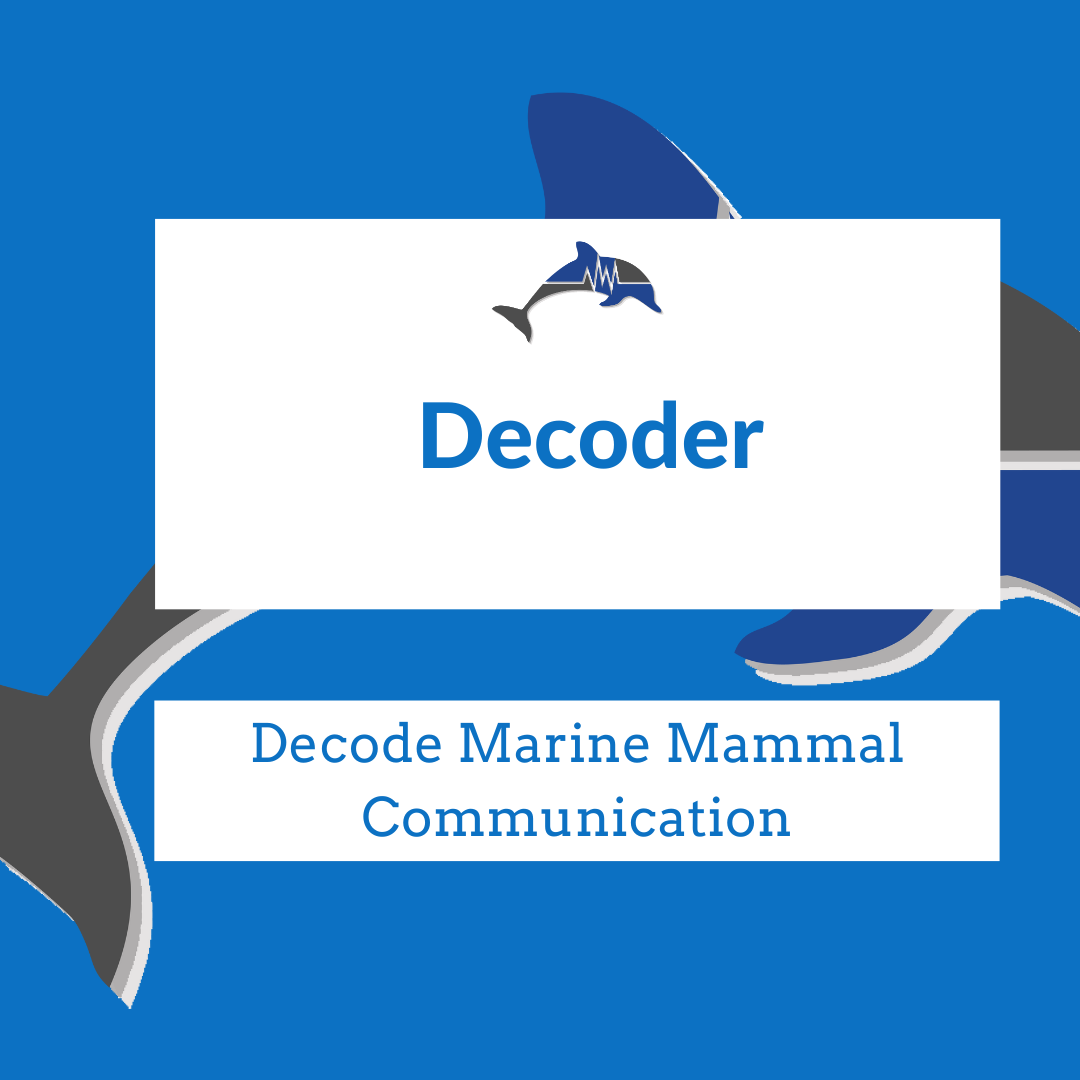 Decoder | Cetalingua Project