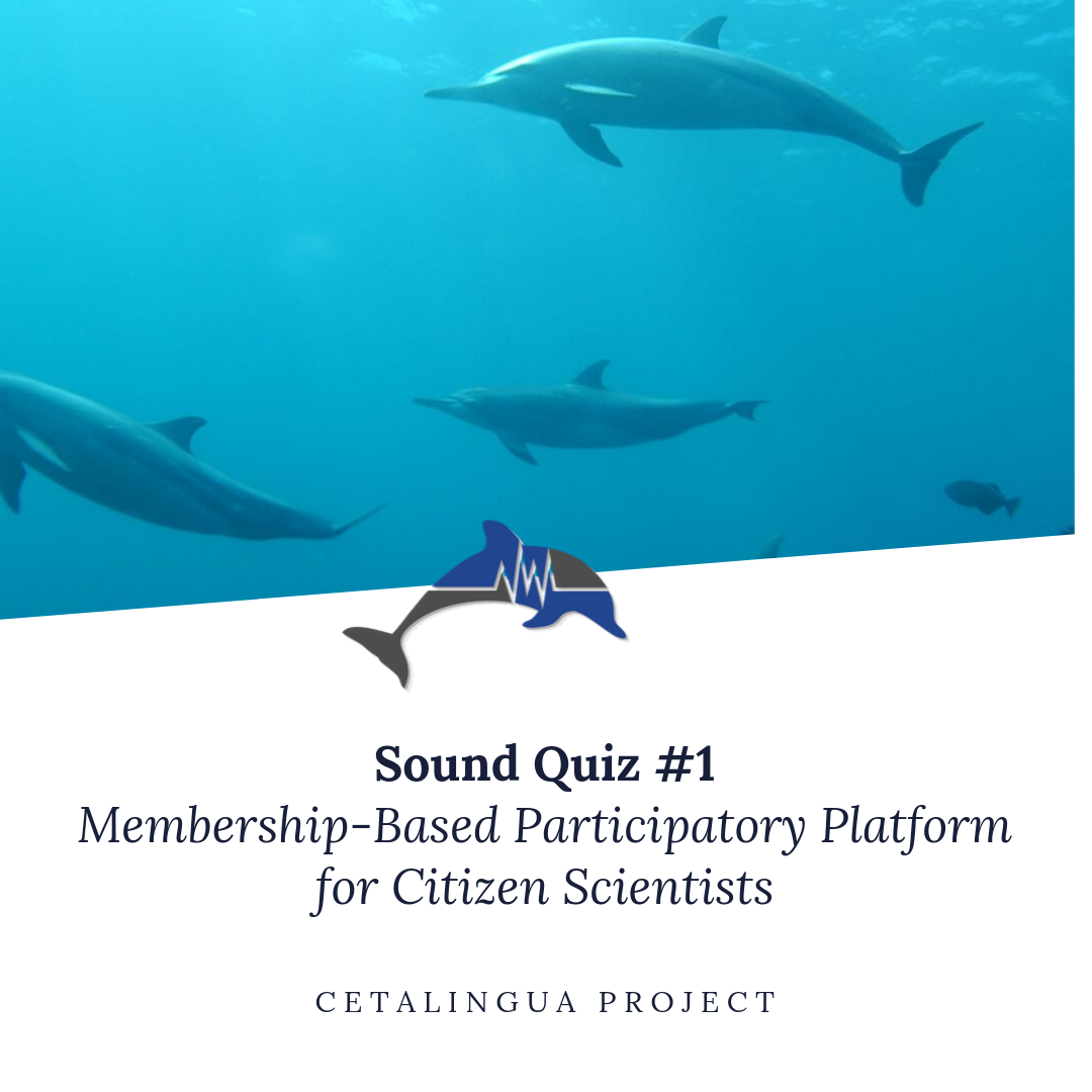 Sound Quiz #1 | Cetalingua Project