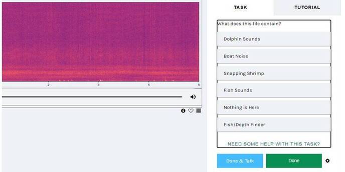 Manatee Chat Choice | Cetalingua Project