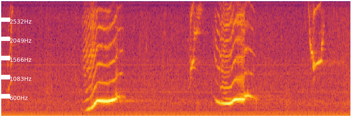 Model Pod | Cetalingua Project
