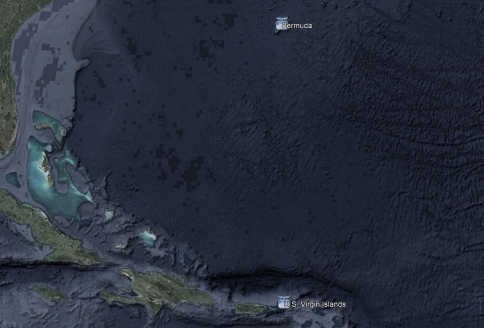 Whale Chat | Cetalingua Project