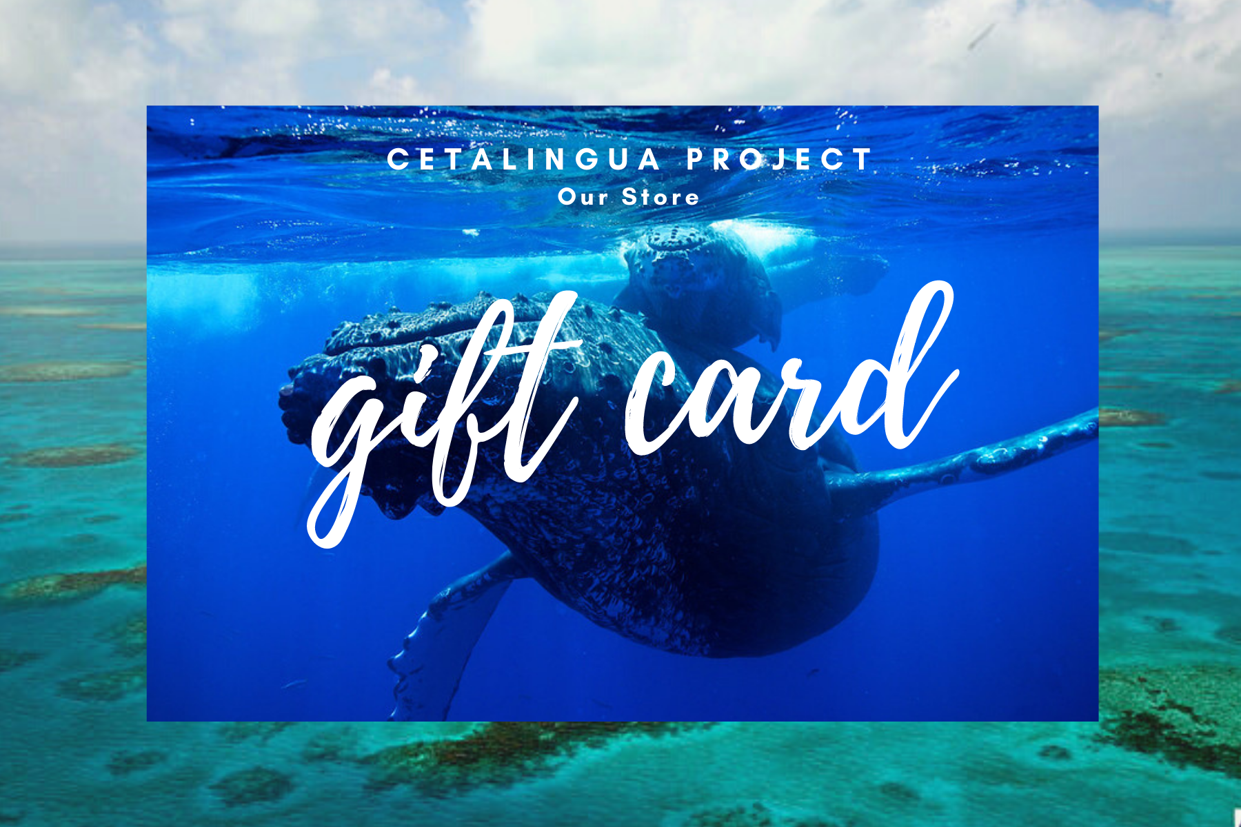 Gift Card | Cetalingua Project