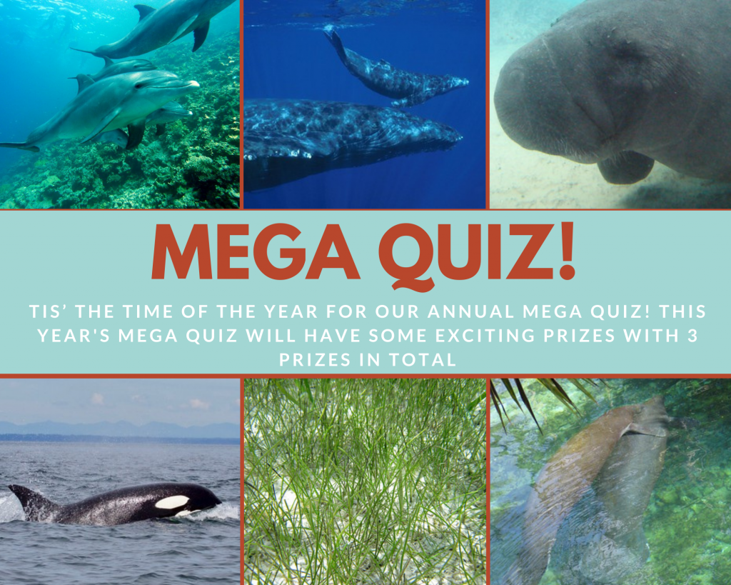 Blog - Cetalingua Project