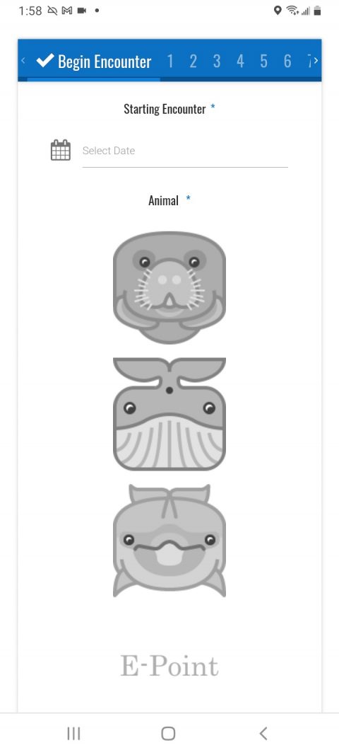 Participate | Cetalingua Project