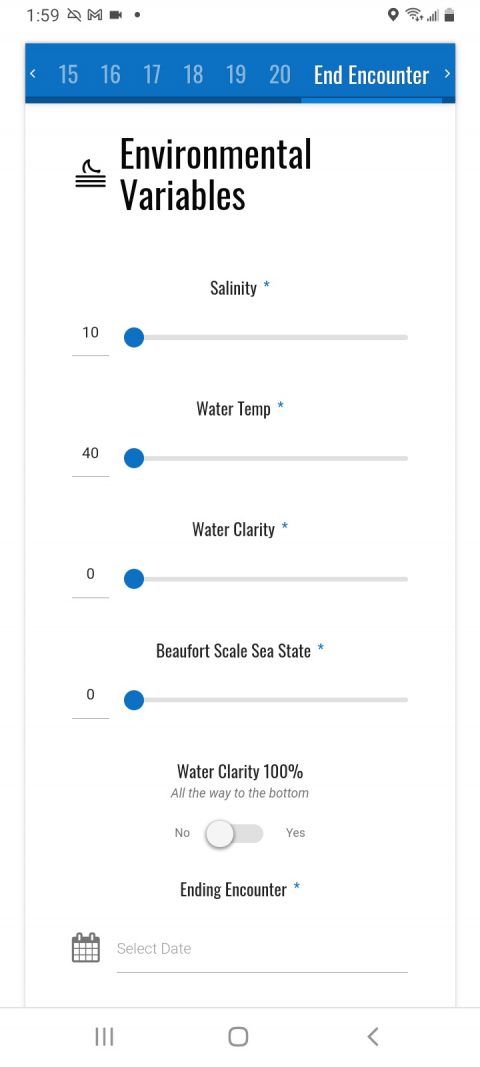 Participate | Cetalingua Project