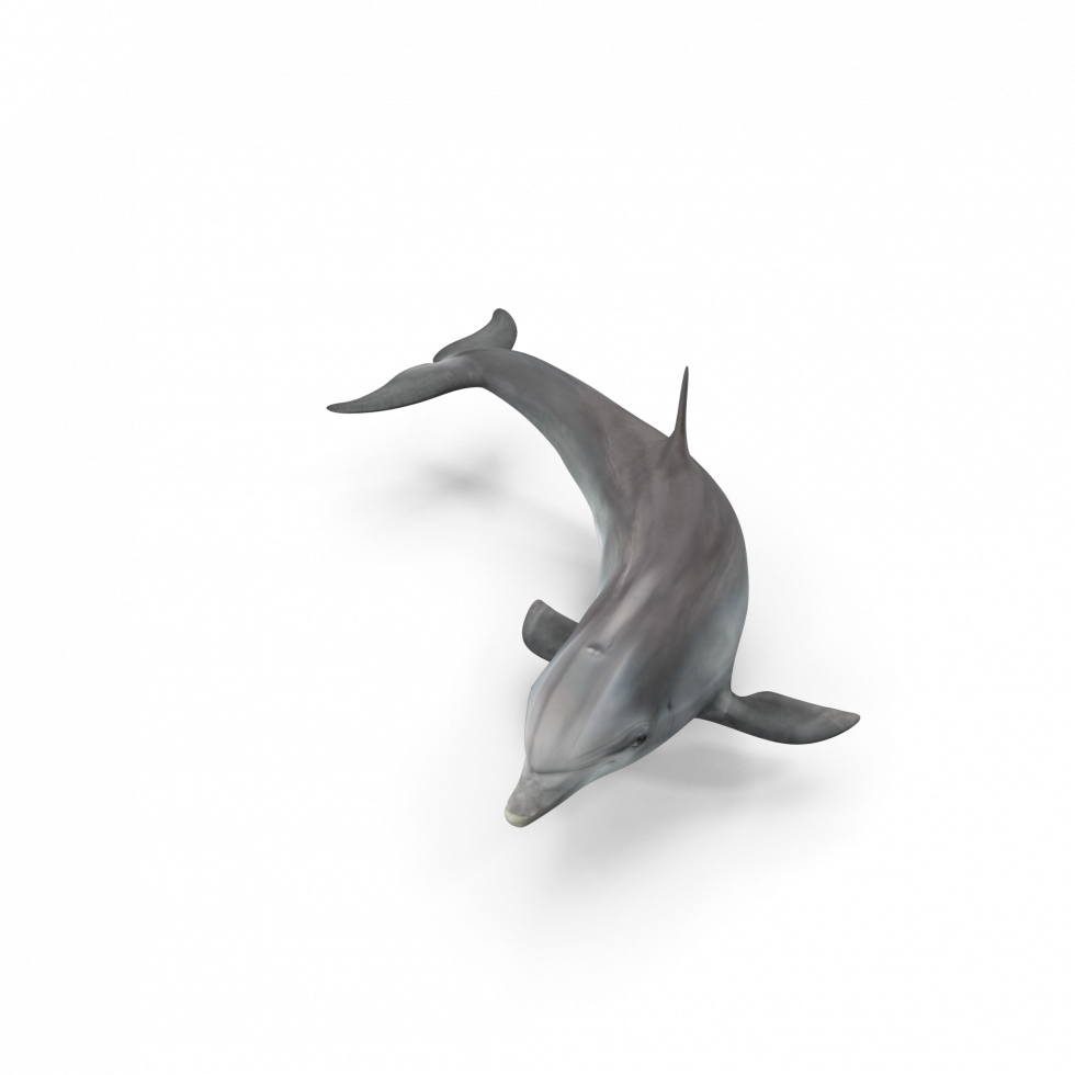 Participate | Cetalingua Project