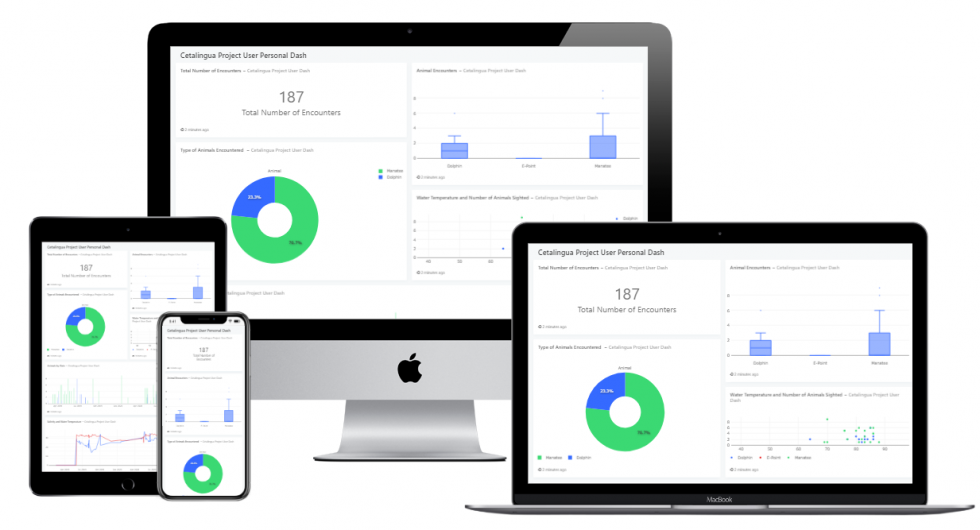 Participate | Cetalingua Project