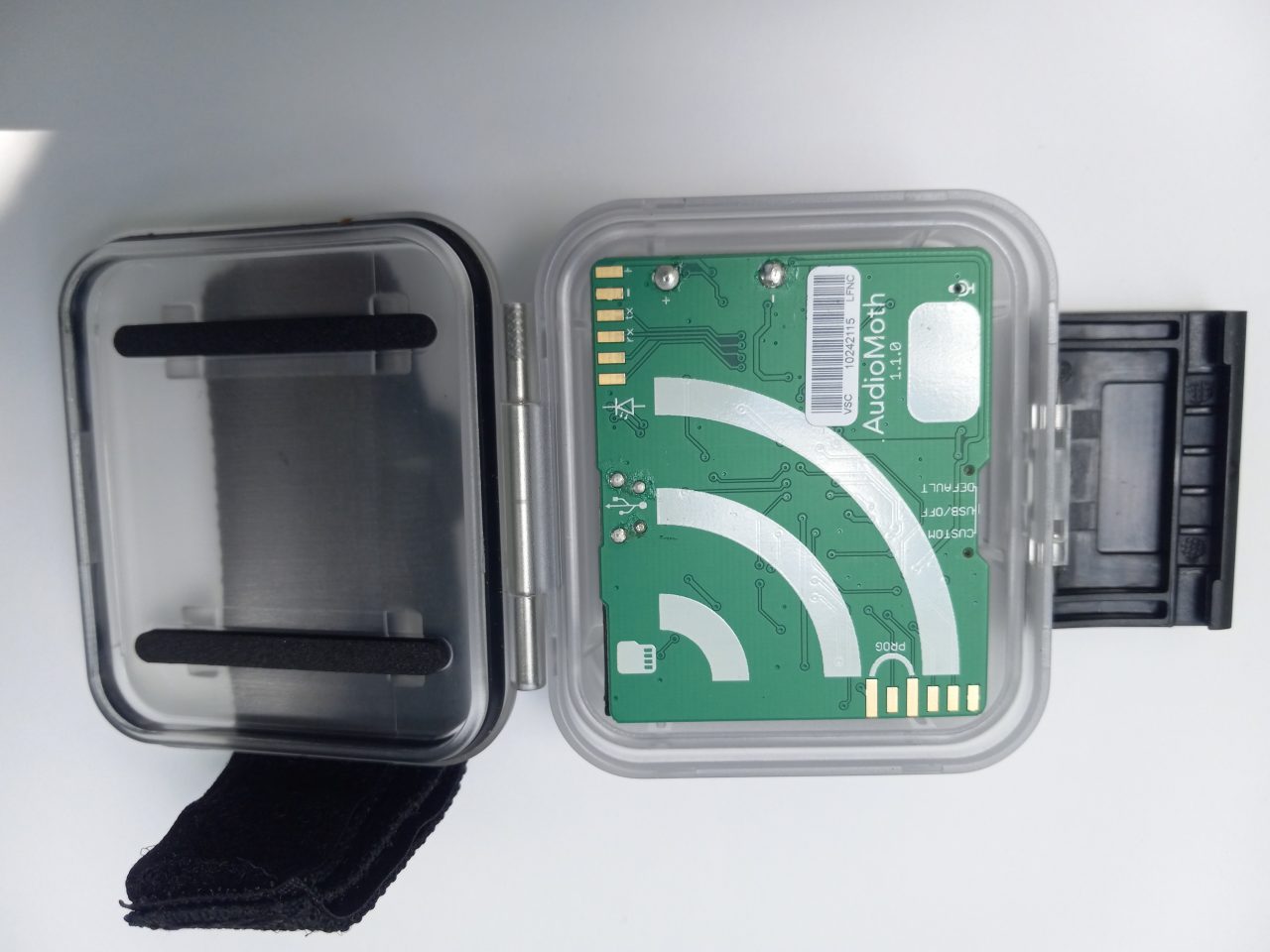 Participate | Cetalingua Project