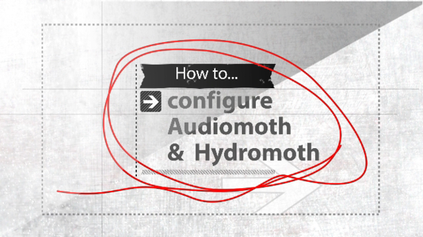 Online Tutorials and Lessons - Cetalingua Project