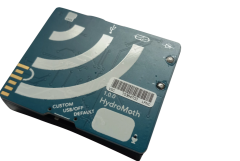 The Benefits of Becoming a Citizen Scientist in Decoding Marine Mammal Communication ...