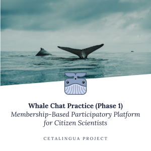 Whale Chat Workflow 1 Practice | Cetalingua Project