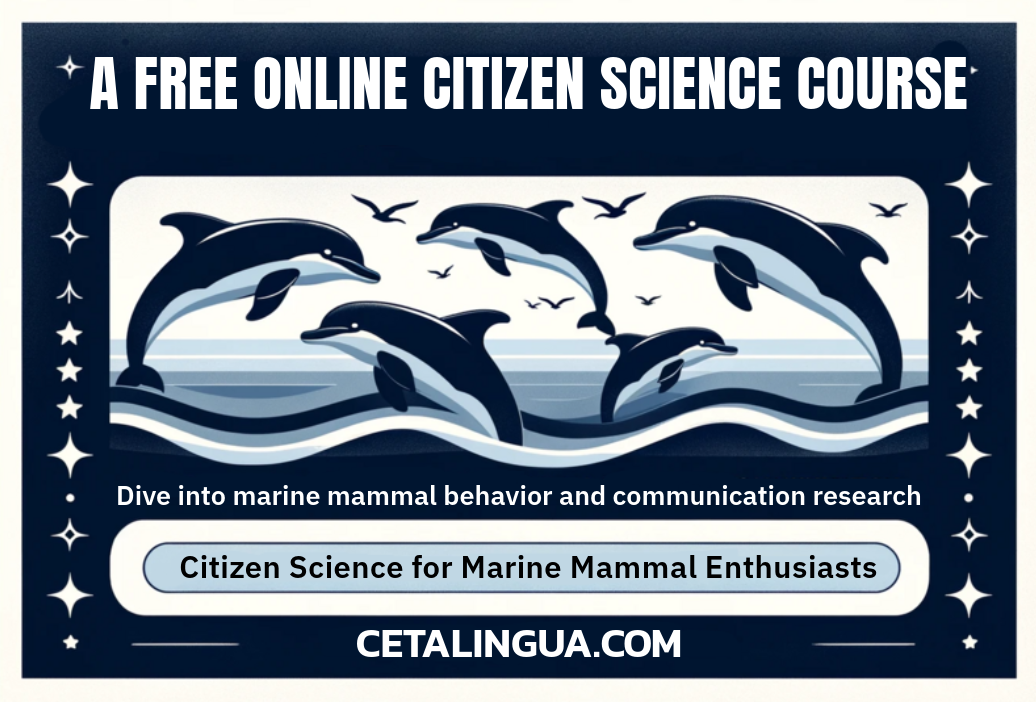 Participate | Cetalingua Project