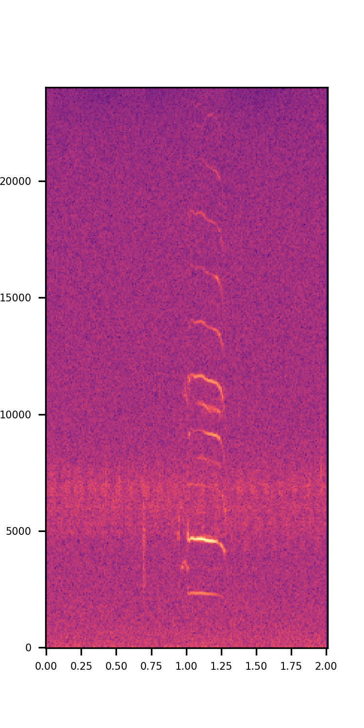 Model Pod | Cetalingua Project