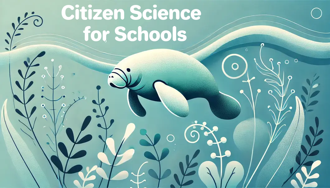 Free Email and Online Course | Cetalingua Project